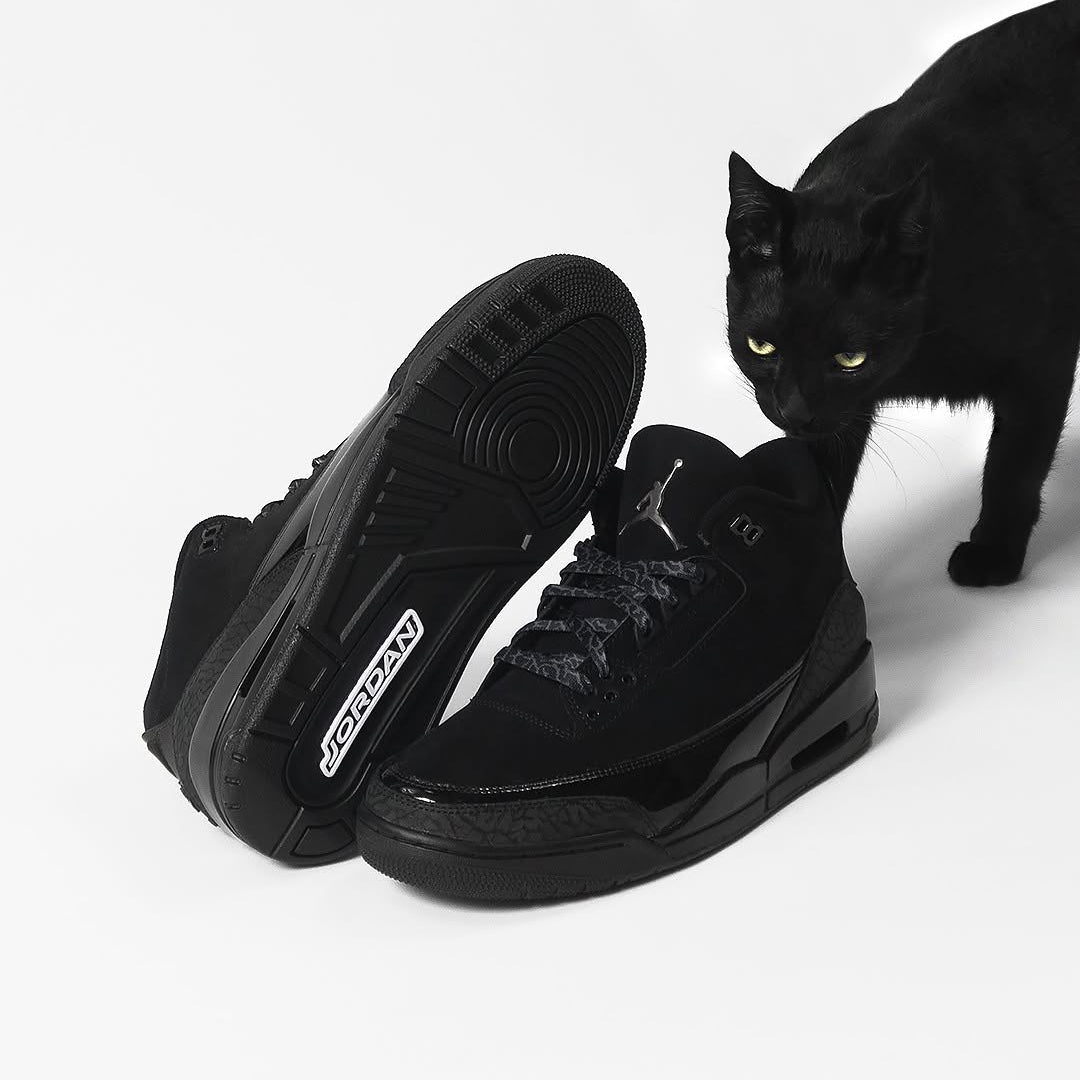 Air Jordan 3 - Sneak.eu